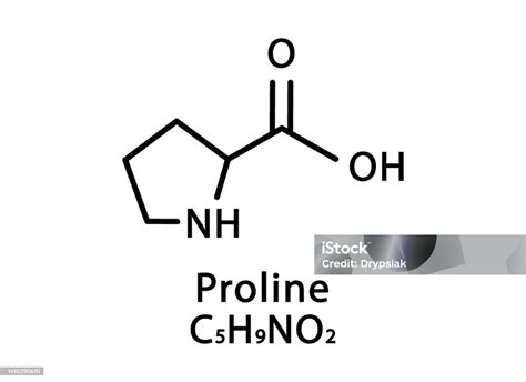 프롤린 분자 구조 프롤린 골격 화학식 화학 분자식 벡터 일러스트 레이 션 건강관리와 의술에 대한 스톡 벡터 아트 및 기타 이미지
