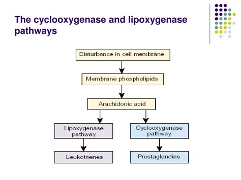 Ppt Inflammation A Comprehensive Guide By Prof Dr Baydaa H Abdullah Powerpoint