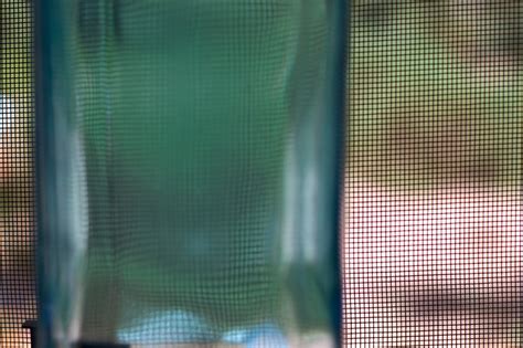 무료 이미지 유리 마천루 벽 선 녹색 커튼 창 화면 인테리어 디자인 그물 블라인드 창 망사 창 덮개