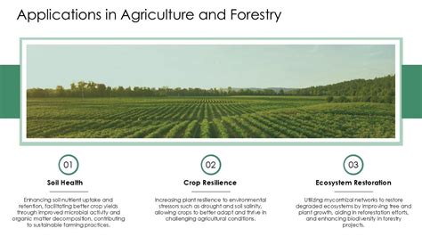 Mycorrhizal Network Nutrients Ppt Template Acp Ppt Presentation