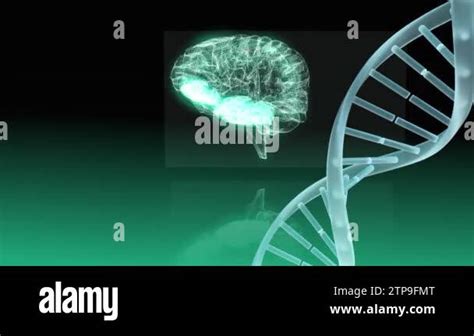 Animation Of Human Brain And Dna Structure Spinning Against Green Gradient Background Medical