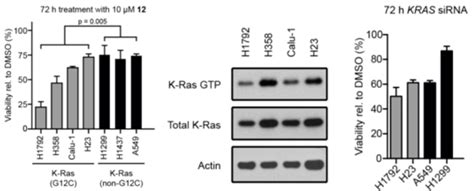 Kras G12c明星抑制剂的进击之路（上） 搜狐大视野 搜狐新闻