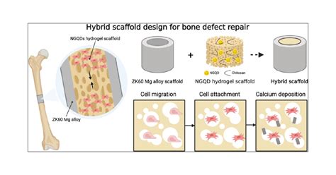 Plasma Enabled Graphene Quantum Dot Hydrogelmagnesium Composites As Bioactive Scaffolds For In