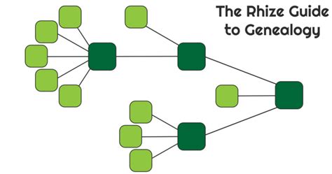 Genealogy Rhize Documentation