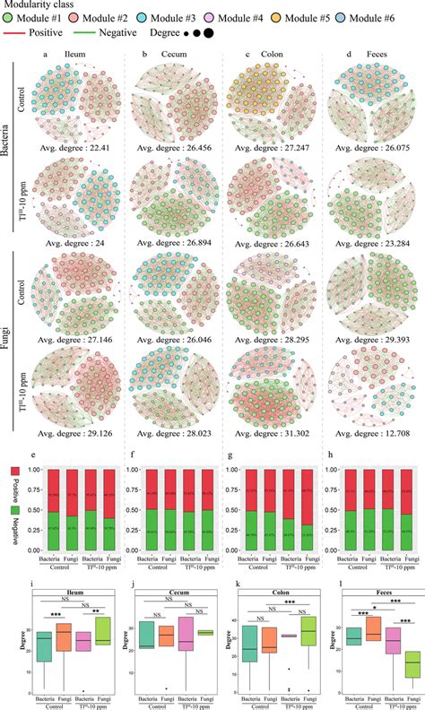 Intra Kingdom Co Occurrence Networks Ad Co‑occurrence Network Download Scientific Diagram