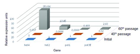 Relative Expression Levels Of Helicase Ii And Iv As Well As Dna Download Scientific Diagram