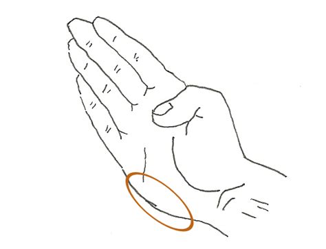 Karate Chop Hand No Msg Karate Chop Silence