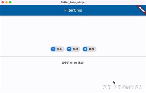 Flutter中filterchip用来实现过滤标签效果 知乎