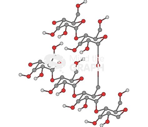 Icodextrin Molecule