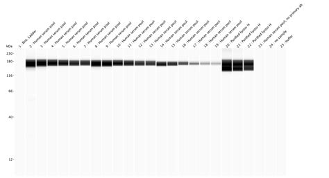 Human Complement Factor H Antibody Af4779 Randd Systems