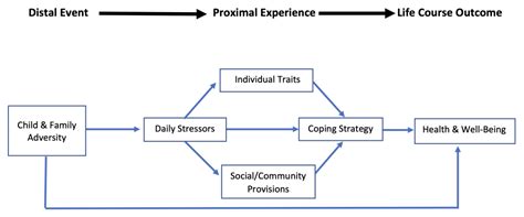 Chapter 3 Life Span And Life Course Theories Of Aging Successful Aging