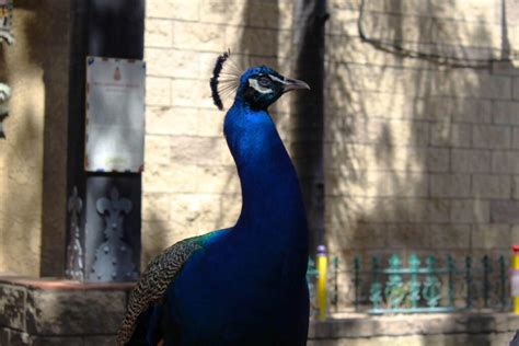 Kevins Back At Castle Park 🦚 Castle Park Riverside Ca
