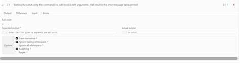 3 Testing Invalid Command Line Arguments V 31