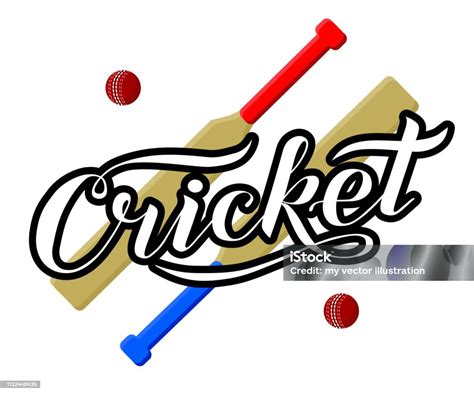 손으로 그린 크리켓 볼과 박쥐 벡터 일러스트 레이 션과 흰색 배경에 크리켓 레터링 텍스트 서 예 스포츠 피트 니스 활동 벡터
