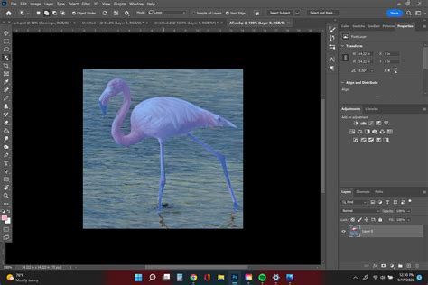 Object Selection Tool Program Error With Webp Fil Adobe Community