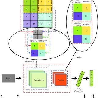 Structure Of The CNN Download Scientific Diagram