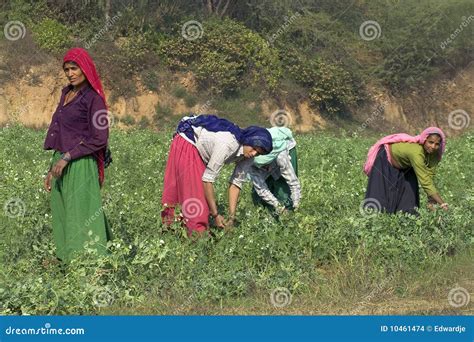 Rajasthan Editorial Stock Image Image Of Rajasthani