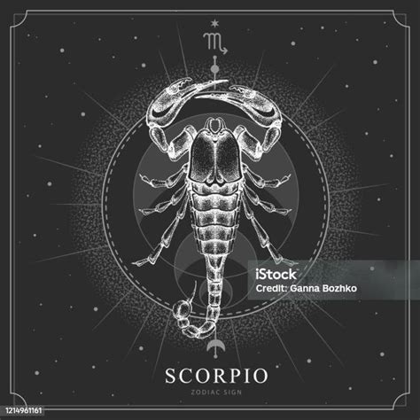 점성술 전갈 자리 조디악 기호와 현대 마술 마술 카드 사실적인 손 그리기 전갈 그림 전갈에 대한 스톡 벡터 아트 및 기타 이미지