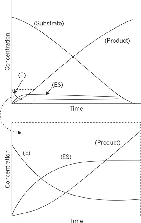 Enzyme Substrate Complex Equation