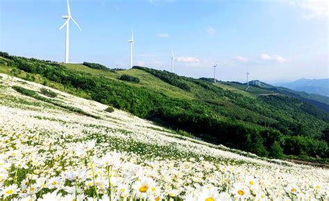 평창 출신 연예인 프로필 모음 아이돌 가수 배우 여배우 남배우 여자 배우 남자 배우 남자 연예인 여자 연예인 여가수 남가수 야구선수 축구선수 개그맨