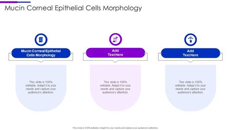 mucin corneal epithelial cells morphology in ppt powerpoint presentation slide templates cpp ppt