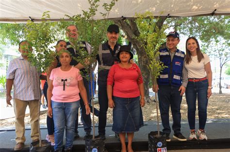 Regala árboles Adrián De La Garza En Conmemoración Del Día Mundial Del Medio Ambiente La