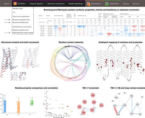 Structure Comparison Tool The Structure Comparison Tool Is A Download Scientific Diagram