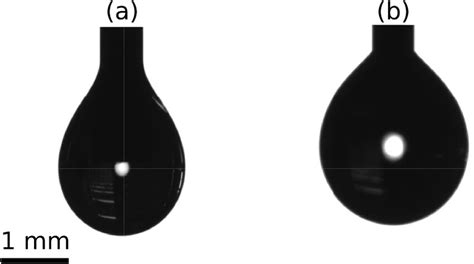 Pendant Dodecane A And Water B Droplets Featuring Different