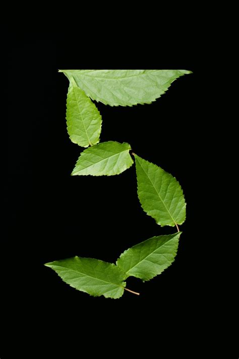 편지 J L은 녹색 잎으로 만들어졌습니다 배경 배경 화면 및 일러스트 무료 다운로드 Pngtree