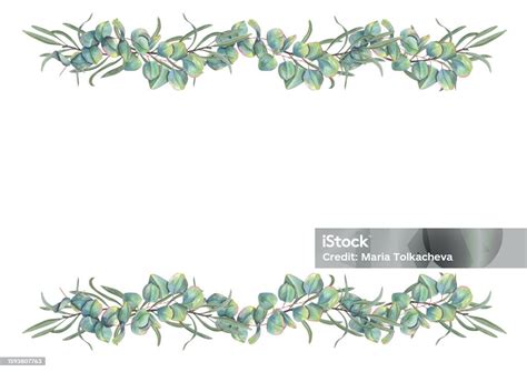 바다 갈매 나무속 가지의 수채화 프레임 흰색으로 분리된 유칼립투스 초록색으로 화려합니다 엽서 디자인 초대장 템플릿 생일 크리스마스 연하장 그림 0명에 대한 스톡 벡터 아트