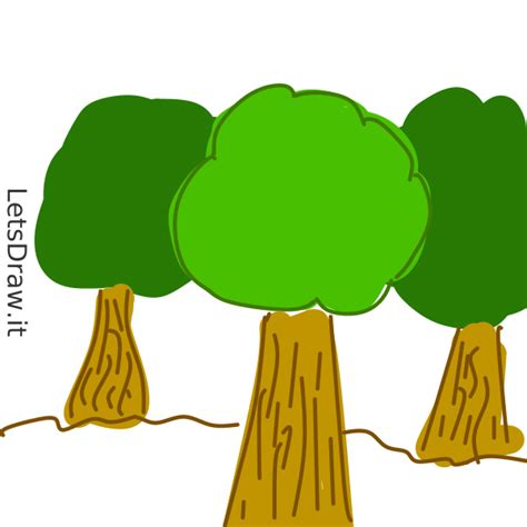 How To Draw Trees 3ms6m1tum Png LetsDrawIt