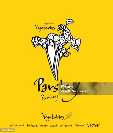 ภาพประกอบเมนูอาหาร ภาพประกอบสต็อก ดาวน์โหลดรูปภาพตอนนี้ Crucifers กระเทียม หอมใหญ่ กล้วย