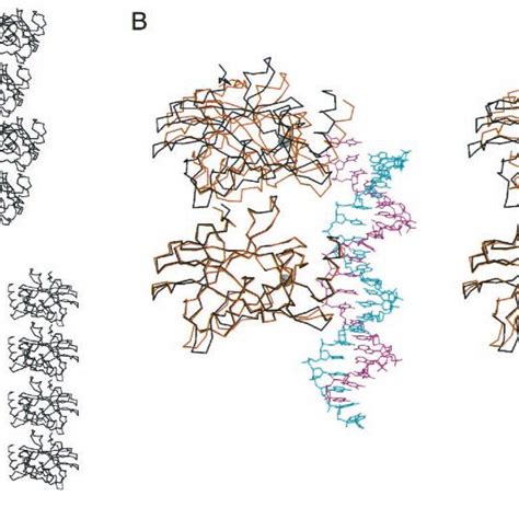 The Structure Of P53 Core Domain Quadruple Mutant Download Scientific Diagram