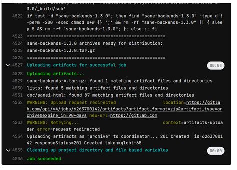 Getting A Redirect When Deploying Release Artifacts Gitlab Cicd