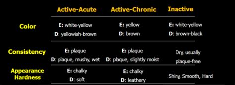 2 2 Caries Detection Flashcards Quizlet