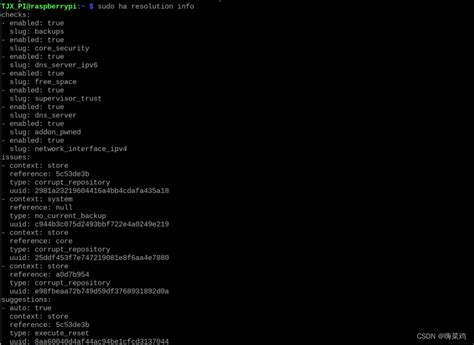 树莓派 Docker Homeassistant Supervisor安装supervisor Homeassastint Csdn博客