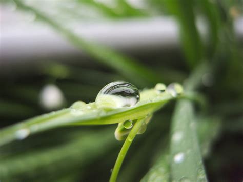 表面張力 By ぼんちゅうた （id：6599937） 写真共有サイトphotohito