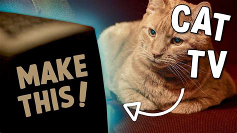 how to make a raspberry pi cat tv youtube