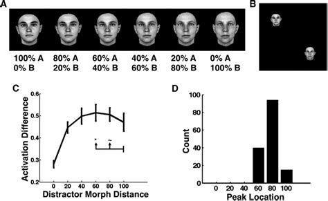 Predicting The Interfering Effect Of Clutter At The Behavioral Level Download Scientific