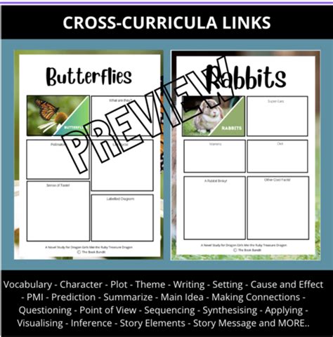 Dragon Girls 4 Mei The Ruby Treasure Dragon Reading Comprehension And