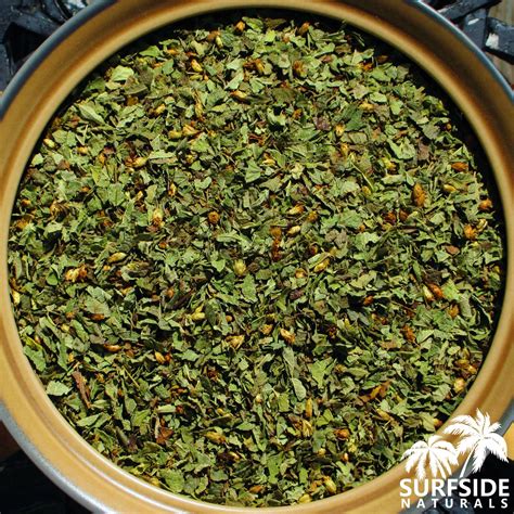 Calea Zacatechichi Mexican Dream Herb Surfside Naturals