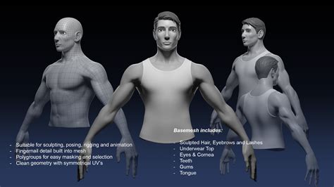 Artstation 3d Character Basemesh Male Bust Game Assets