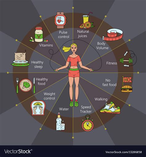 Weight loss diet infographics Royalty Free Vector Image