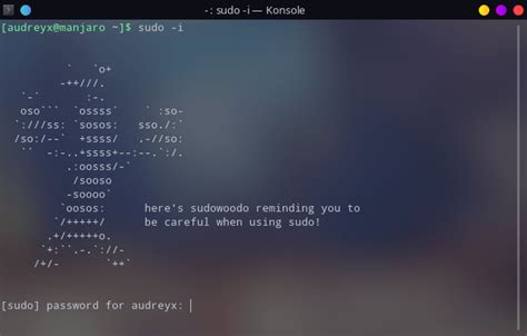 Sudowoodo Reminding You To Be Careful When Using Sudo Rlinux