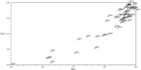 2 d pca clustering by rapd analysis download scientific diagram