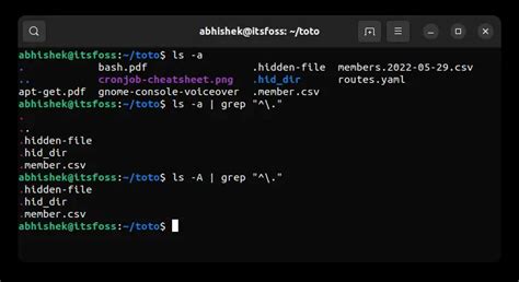Show Only Hidden Files In Linux Command Line