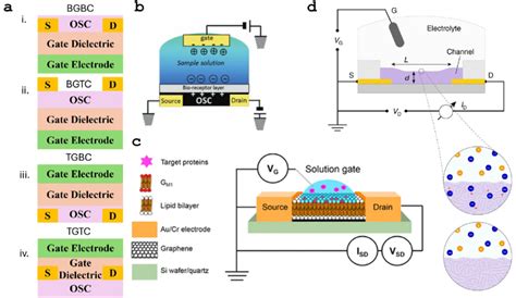Different Types Of Organic Transistors A An Ofet Device With Different