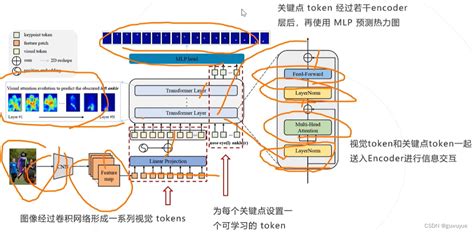 Ai实战营：人体姿态估计与mmposeai人体姿态 算法库 Csdn博客