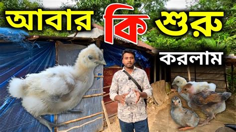তিতির সিল্কি দেশি গলা সিলা মুরগি ড়িমের জন্য ।। দেশি মুরগি পালন পদ্ধতি ।। মায়া বাংলা Bd Youtube
