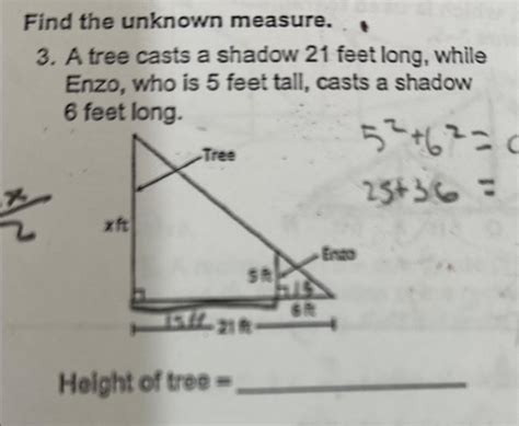 Solved Find The Unknown Measure A Tree Casts A Shadow Chegg Com